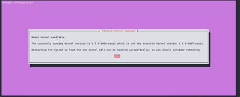 raspberry pi s message in ubuntu pending kernel upgrade kernel
