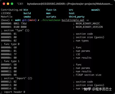 为什么说 Wasm 是 Web 的未来？ 知乎