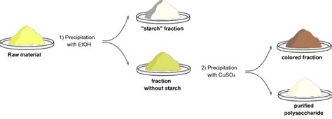 Summary Of The Extraction Process Workflow And Obtained Materials