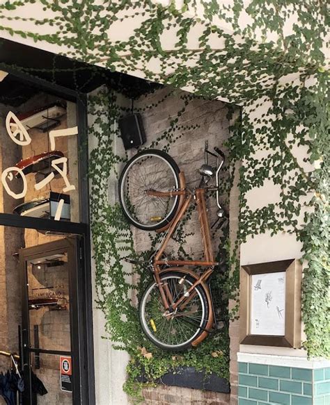 Could You Help Naming This Plant R Houseplants