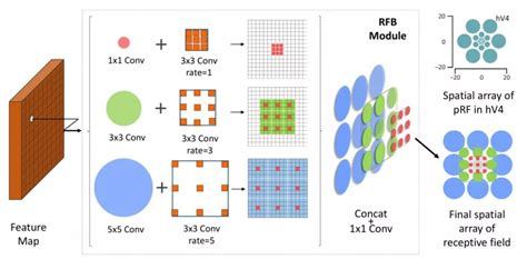 【目标检测】不同结构的感受野对cnn网络的影响receptive Fields对cnn性能的影响 Csdn博客