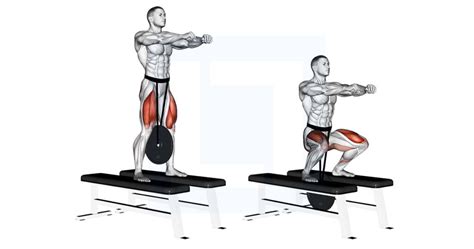 Standing Hamstring Stretch Guide Benefits And Form