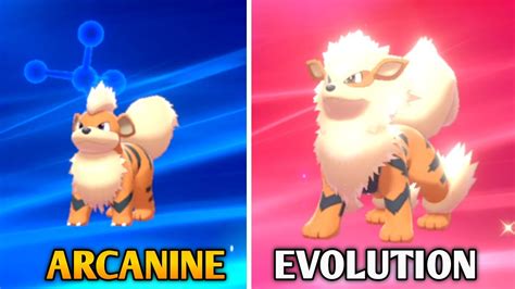 When Does Growlithe Evolve In Sword At Jeff Span Blog