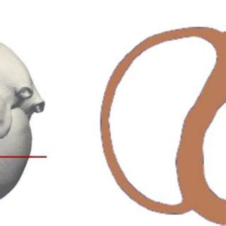 Details Of The Cross Section Download Scientific Diagram