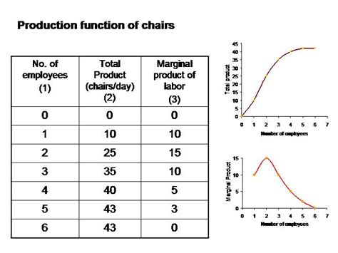 Government And Taxes Labor Econ Wages And Marginal Product Of Labor