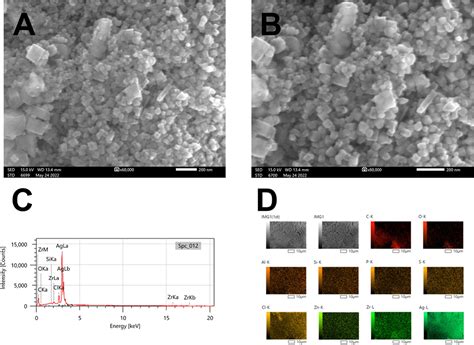Biofabrication Of Silver Nps Using Nostoc Muscorum Lukesova Ijn