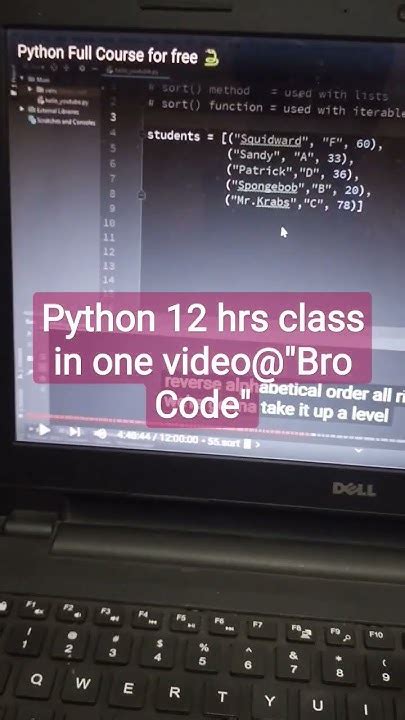 Bro Code Python Programming Youtube