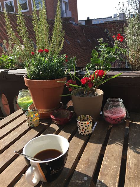 Nackt On Twitter I Had The Morning Off And Could Finally Enjoy The Morning Sun On My