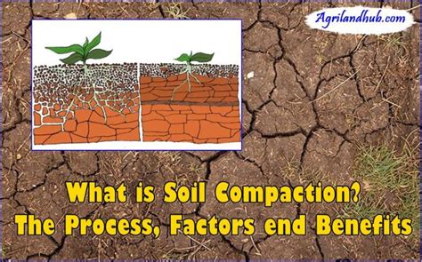 What Is Soil Compaction The Process Factors And Benefits