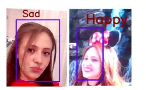 Sample Of Real Time Predictions Authors Original Picture Download