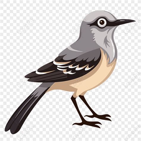 검은색과 흰색 깃털을 가진 앵무새 클립 아트 만화 새 벡터 Png 일러스트 무료 다운로드 Lovepik