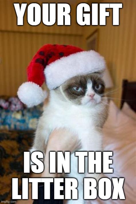 Nollag Merry Cat Grumpy Meme 38 Hissterical Cat Memes For All The