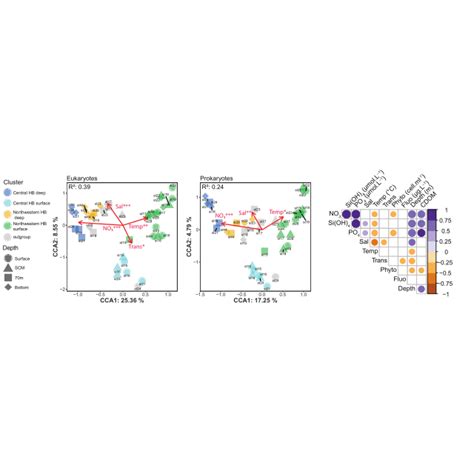 Ordination Plots Of Distance Based Redundancy Analysis Db Rda And Download Scientific Diagram