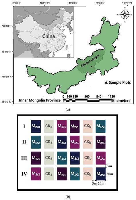 Mowing Increases Root To Shoot Ratio But Decreases Soil Organic Carbon Storage And Microbial