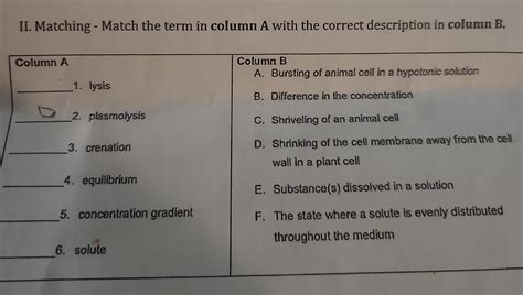 Solved Ii ﻿matching ﻿match The Term In Column A With The