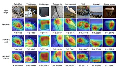 Python How To Implement Grad Cam To View Activation Mapheat Maps On