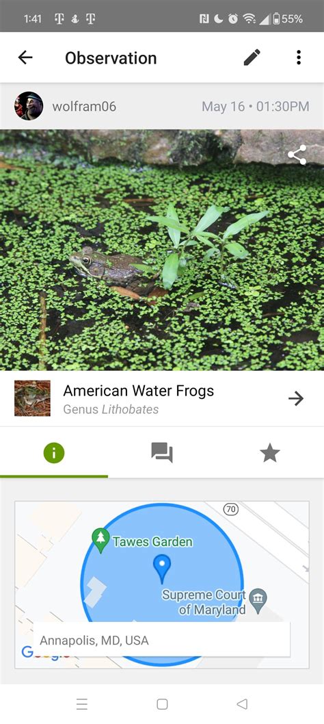 Observation Times Incorrect Bug Reports Inaturalist Community Forum