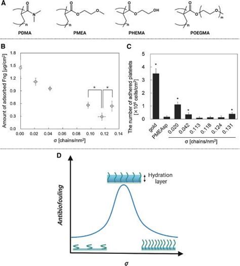 The Interplay Between Grafting Density And Protein Biofouling Of
