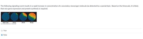 solved the following signaling event results in a rapid