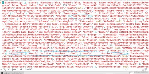 docker容器添加映射端口 docker容器增加端口映射 csdn博客