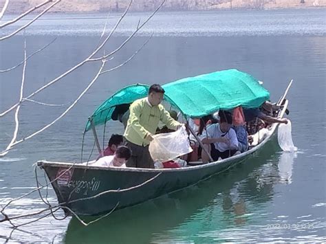 ပေါင်းလောင်းချောင်း သဘာဝ‌ရေပြင်တွင် ငါးသားပေါက်ကောင်ရေ တစ်သိန်းစိုက်ထည့