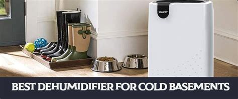 Basement Dehumidifier Setting For Winter At Robin Alexander Blog