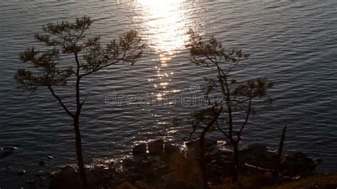 The Solar Path Glows On The Wavy Surface Of The Sea Water Golden Sunset Stock Footage Video