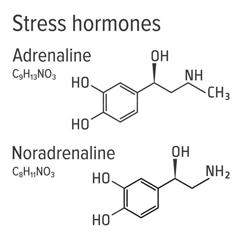 Norepinephrine Chemical Structure