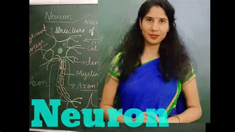 Neuron Nervous System Class 10 Cbse Ncert Youtube
