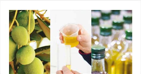 Understanding Global Olive Oil Quality Grading And Labeling
