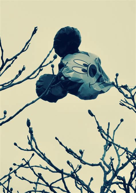 Mickey Mouse Is Stuck In A Tree