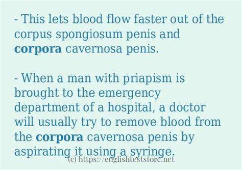 Corpora Sentence Examples Englishteststore Blog