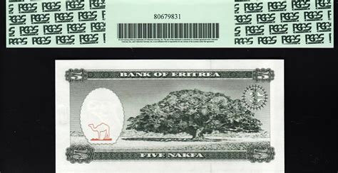 ERITREA NAKFA PCGS GEM NEW UNC PPQ P PREFIX AA Fortumor Numismatic Center