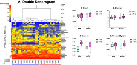 Sex Differences In Response To A High Fat High Sucrose Diet In Both