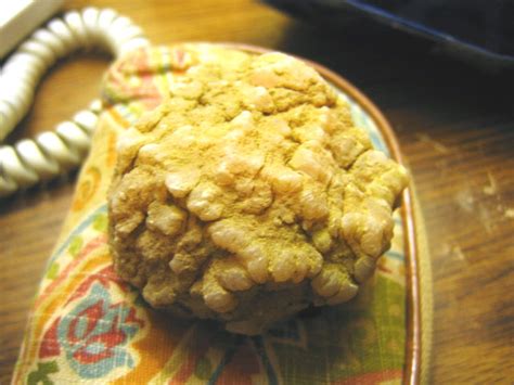 Fossils Fossil ID The Fossil Forum Fossils Fossil ID The Fossil Forum