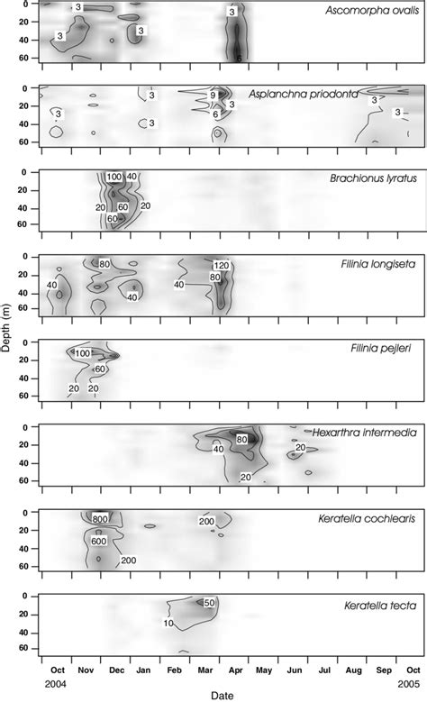 Spatial And Temporal Distribution Of Abundances Individuals L 1 Of