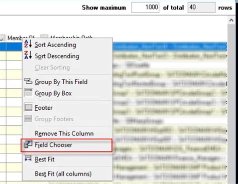 Data Grid Functionality Netwrix Product Documentation