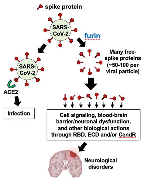 Schemes Depicting The Alternative Hypothesis Download Scientific Diagram