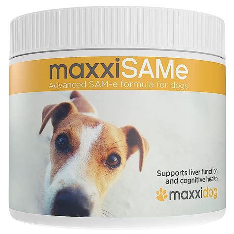 7 Best Sam E Supplement For Dogs