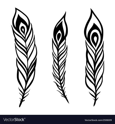 Black And White Peacock Feather Images