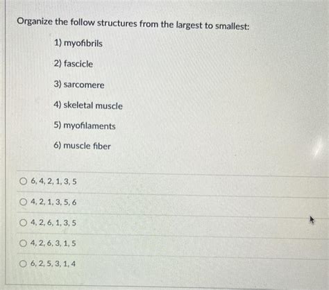 solved organize the follow structures from the largest to