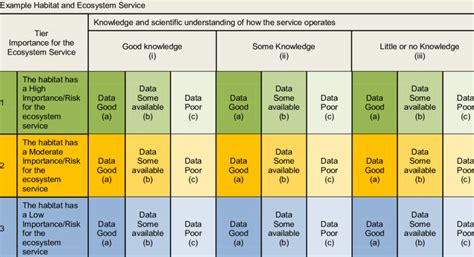Tiers Of The Spatial Framework Download Table