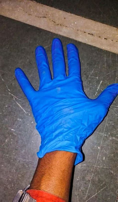 Blue Food Processing Gloves At ₹ 10 Pair In Ahmedabad Id 2854151322262