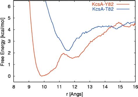Potential Of Mean Force Pmf Of Tea Relative To The Selectivity Filter