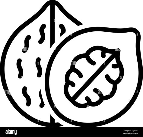 Icon For Walnut Nut Stock Vector Image And Art Alamy