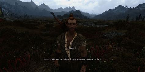 Skyrim 20 Best Immersion Mods So Far