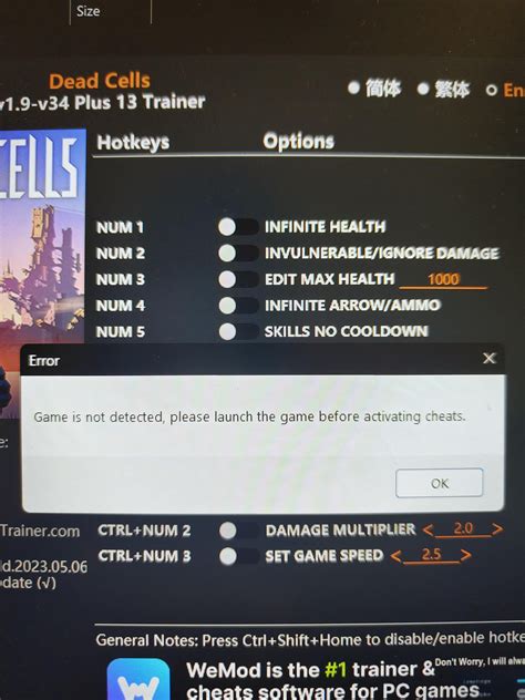 Game Not Detected Trainer Issue Rpiratedgames