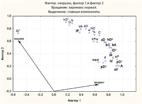 factor analysis of the variability of morphometric characteristics of