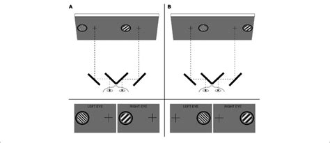 Top Schematic Of An Example Visual Display And Mirror Stereoscope In