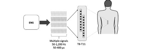 A Diagram Depicting The Differential Target Multiplexed Programming